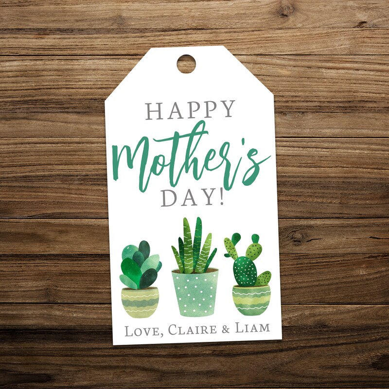 Succulent Gift Tag - 60+ Gift Ideas for 2025
