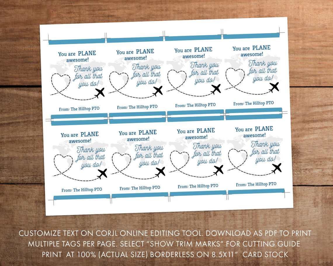 Editable Airplane Travel Theme Thank You Gift Tag Printable for Teacher ...