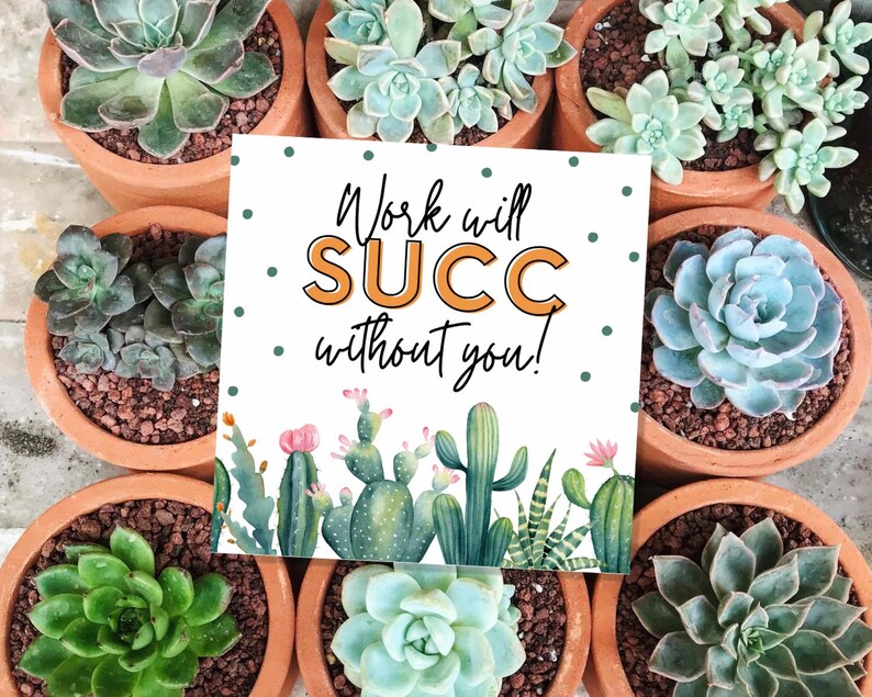 Succulent Gift Tag, Coworker Appreciation, Teacher Nurse Gift, (3x3 ...