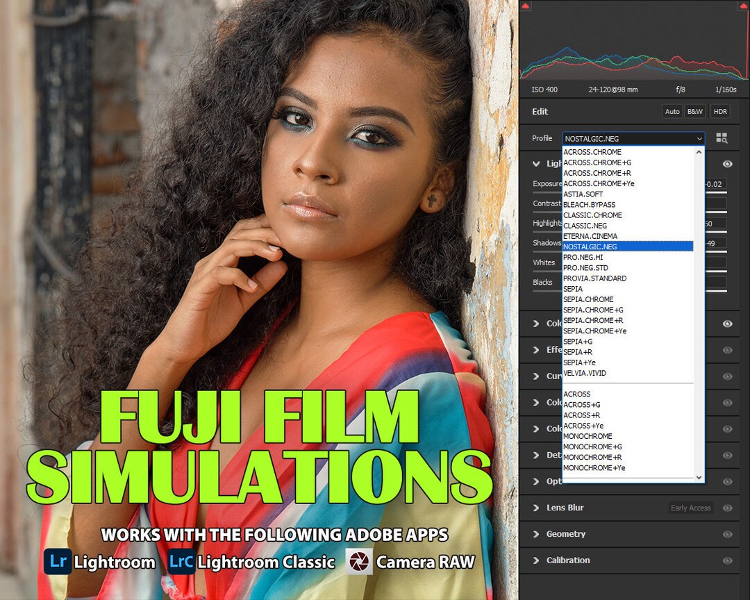 30 FUJI Film Simulations - Etsy