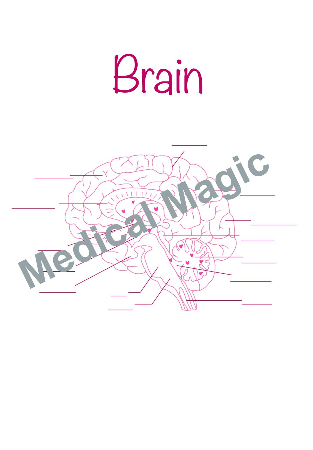 Human Brain Labeling Worksheet | for Nursing and Anatomy Students ...