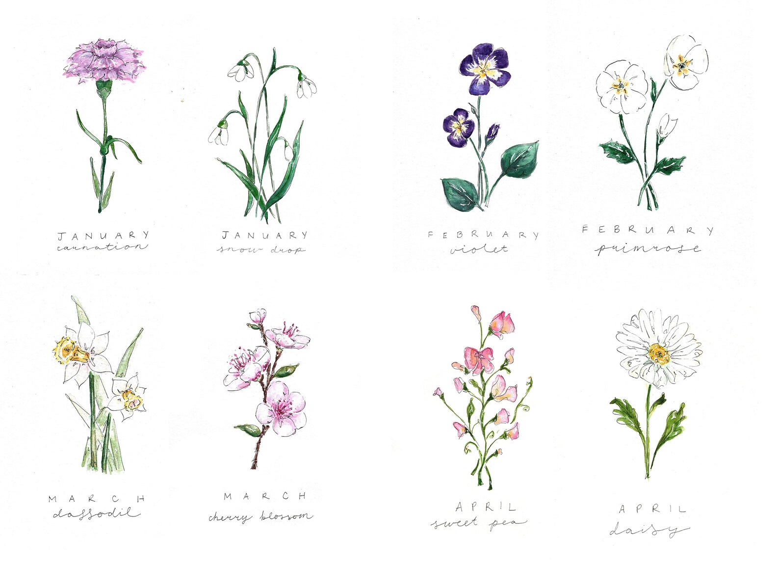 Birth Flower Prints - Watercolor - Flower Wall Art - Etsy