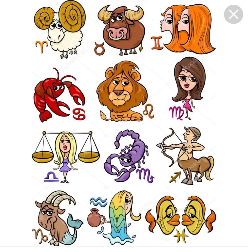 Zodiac Clothing Personalized T Shirt Astrology T Etsy