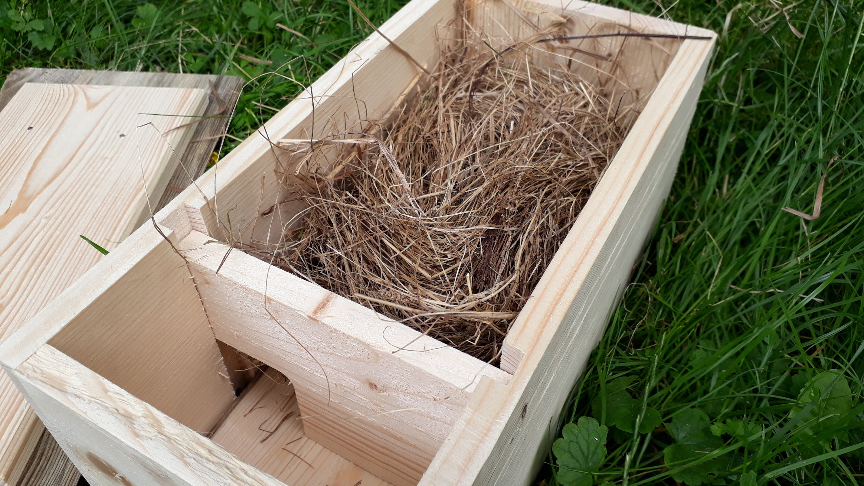 Nesting Box for Mouse Weasels and Ermine - Etsy UK
