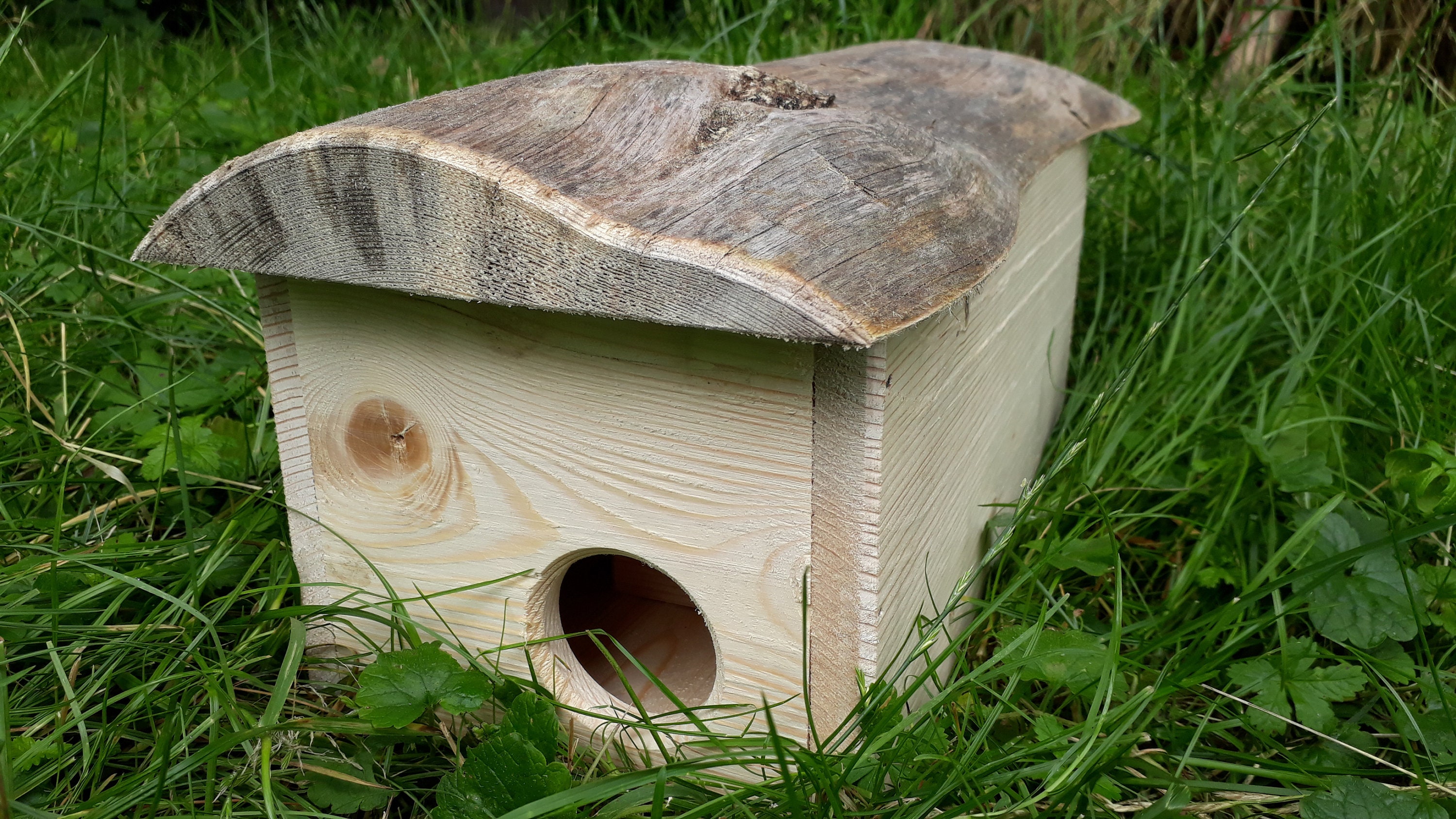 Nest box for mouse weasel and ermine | Etsy