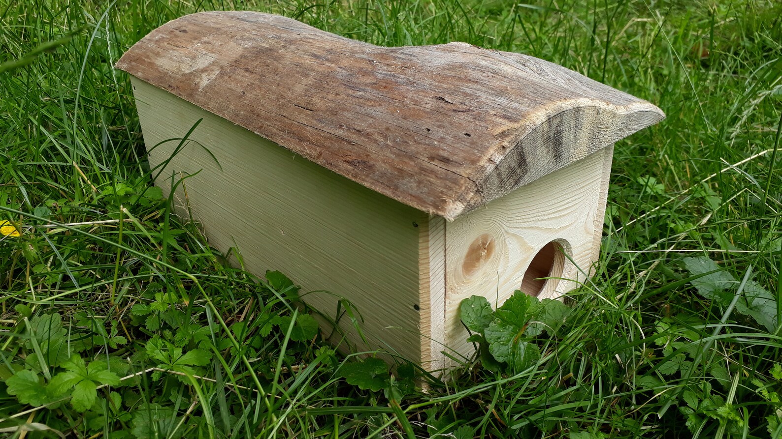 Nest box for mouse weasel and ermine | Etsy