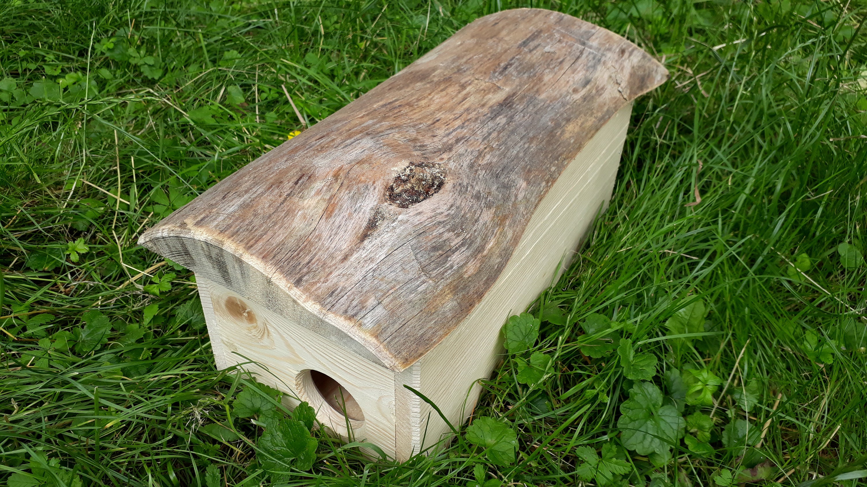 Nest box for mouse weasel and ermine | Etsy
