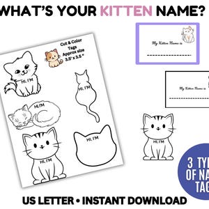 What's Your Kitten Name Game With NAME TAGS + SIGN, Printable Kitten ...