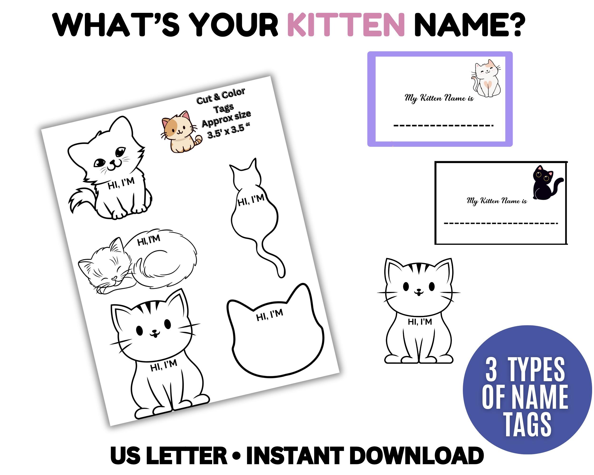 What's Your Kitten Name Game With NAME TAGS + SIGN, Printable Kitten ...