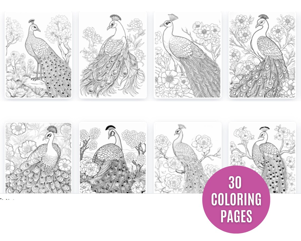 Peacock Coloring Book,30 Printable Peacock Coloring Pages for Adults ...