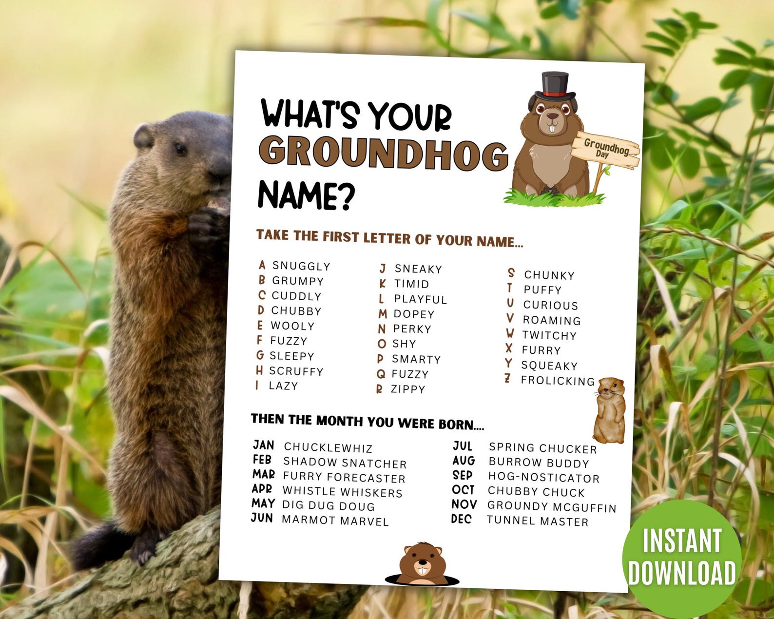 What's Your Groundhog Name Game NAME TAGS + SIGN, Punxsutawney Phil ...