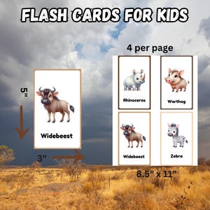 Safari Animals Flashcards, 24 Preschool Printable Educational Cards ...