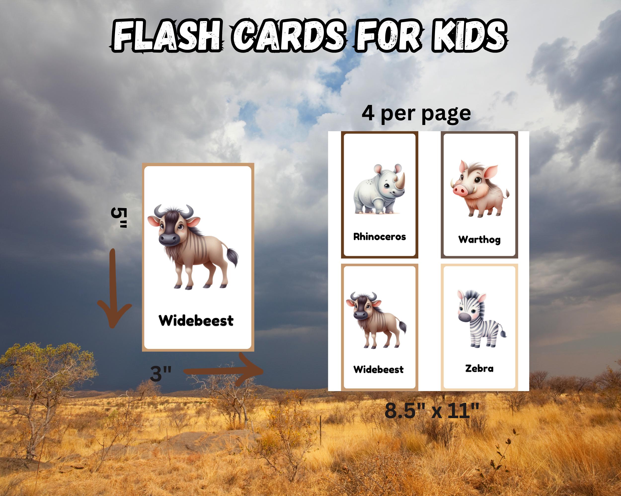 Safari Animals Flashcards, 24 Preschool Printable Educational Cards ...