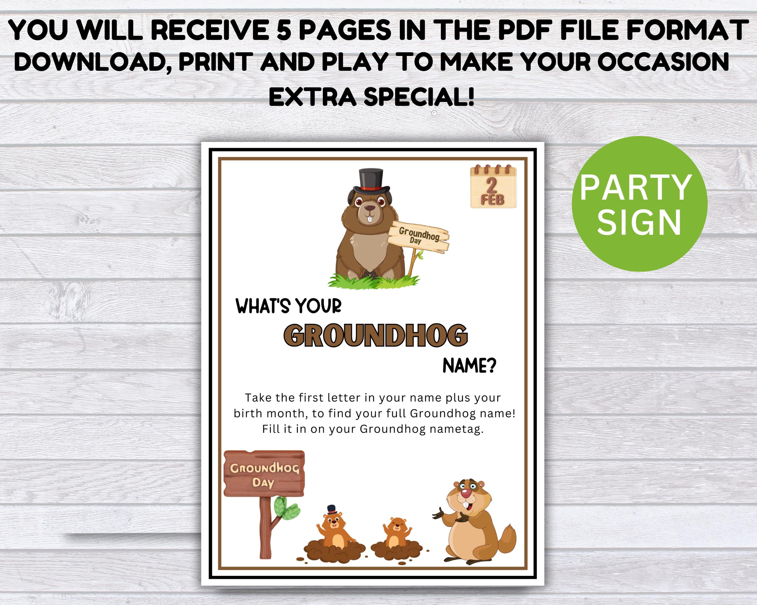 What's Your Groundhog Name Game NAME TAGS + SIGN, Punxsutawney Phil ...