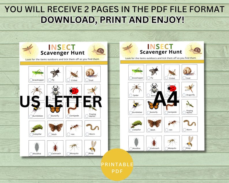 Printable Insect Scavenger Hunt, Outdoor Nature Treasure Hunt, Kids ...