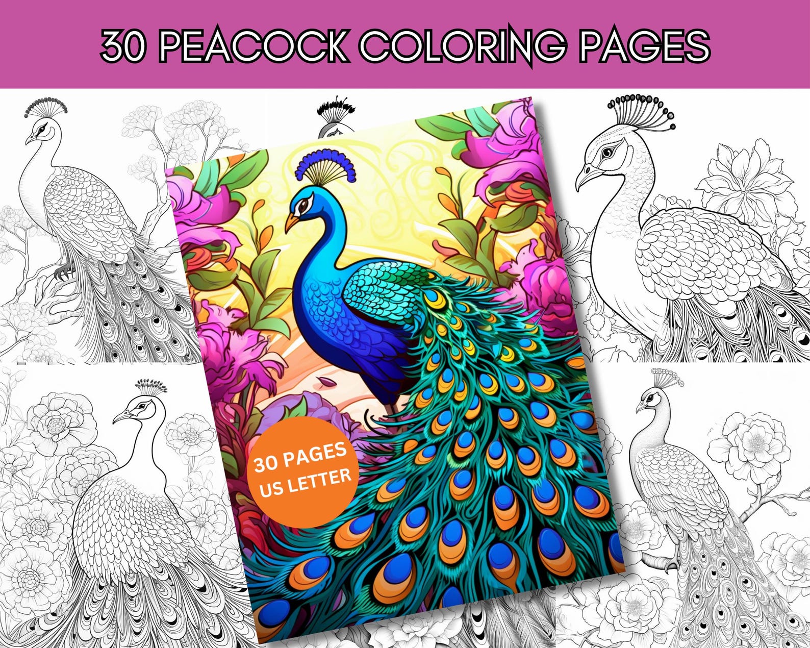 Peacock Coloring Book,30 Printable Peacock Coloring Pages for Adults ...