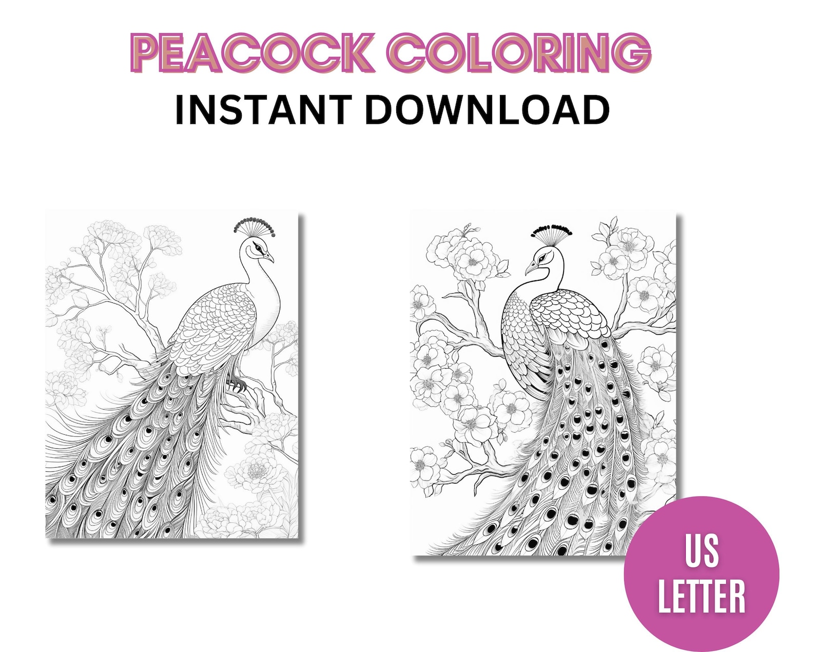Peacock Coloring Book,30 Printable Peacock Coloring Pages for Adults ...