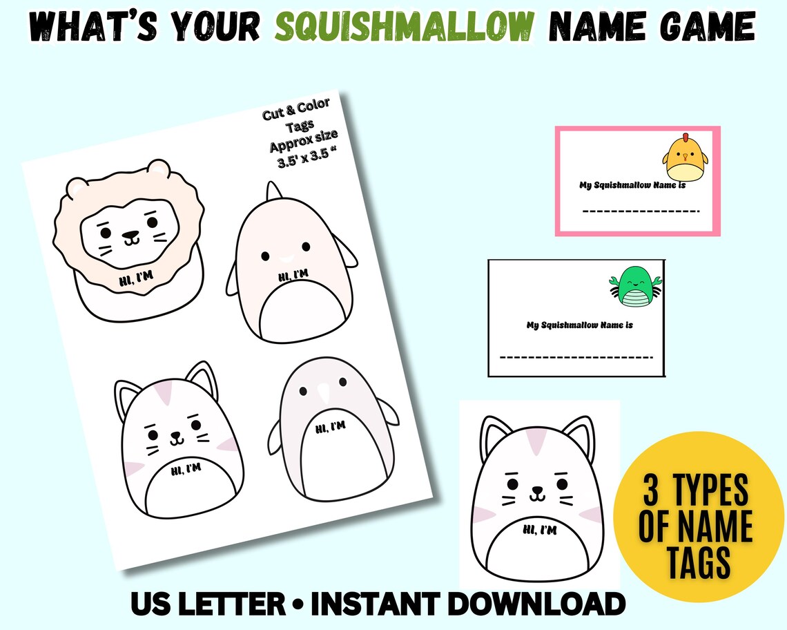 What's Your Squishmallow Name Game NAME TAGS + SIGN, Squishmallow ...