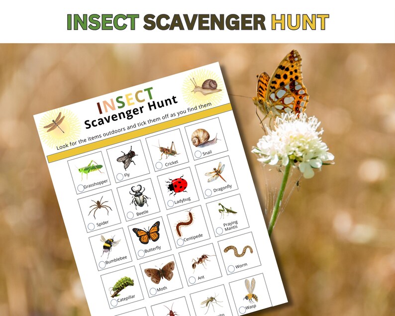 Printable Insect Scavenger Hunt, Outdoor Nature Treasure Hunt, Kids ...
