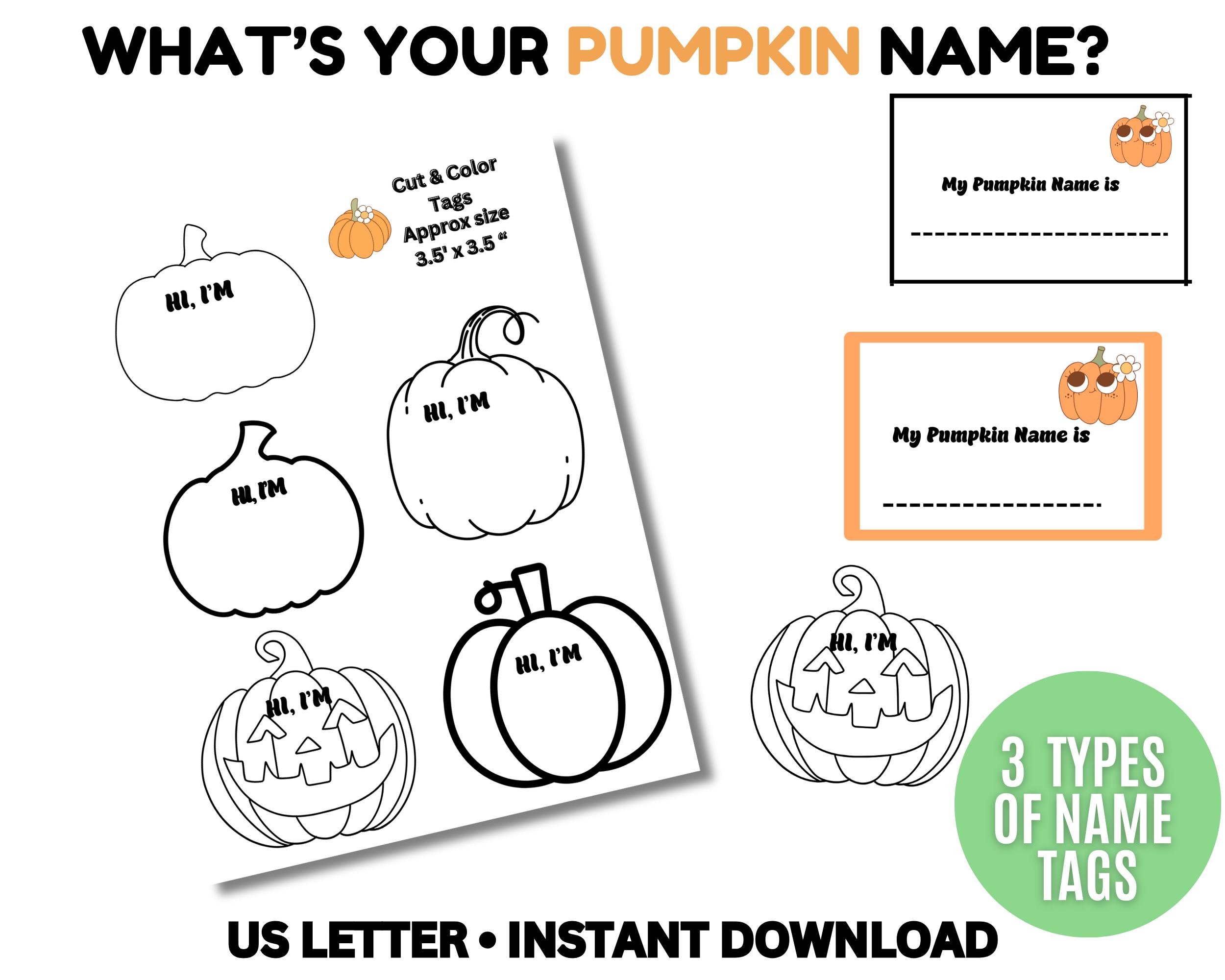 What's Your Pumpkin Name Game, NAME TAGS + SIGN, Fall Activity ...