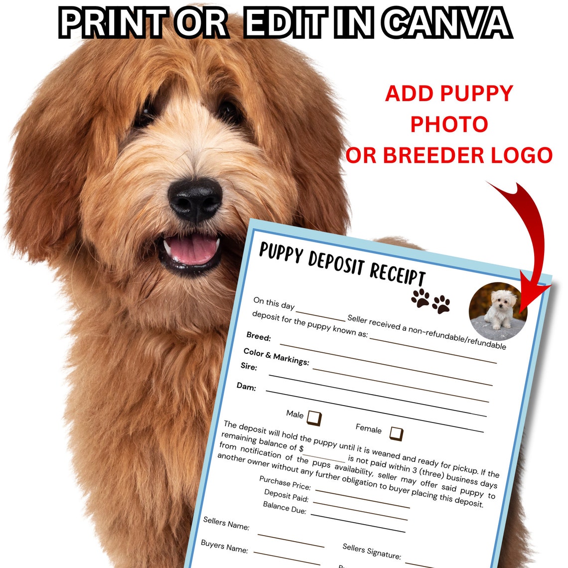 Editable Puppy Deposit Receipt, New Puppy Bill of Sale, Puppy Contract ...