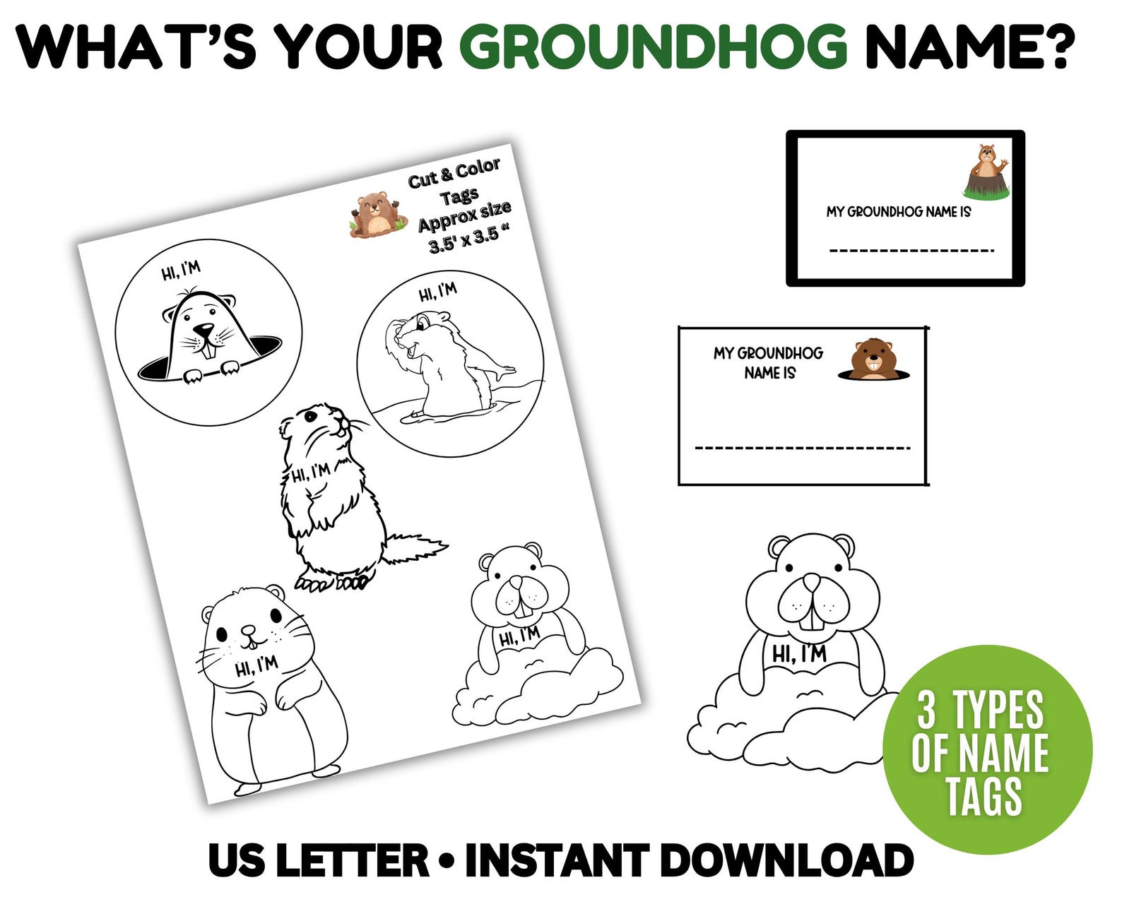What's Your Groundhog Name Game NAME TAGS + SIGN, Punxsutawney Phil ...