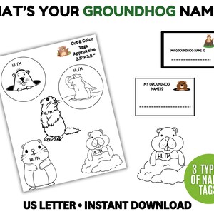 What's Your Groundhog Name Game NAME TAGS + SIGN, Punxsutawney Phil ...