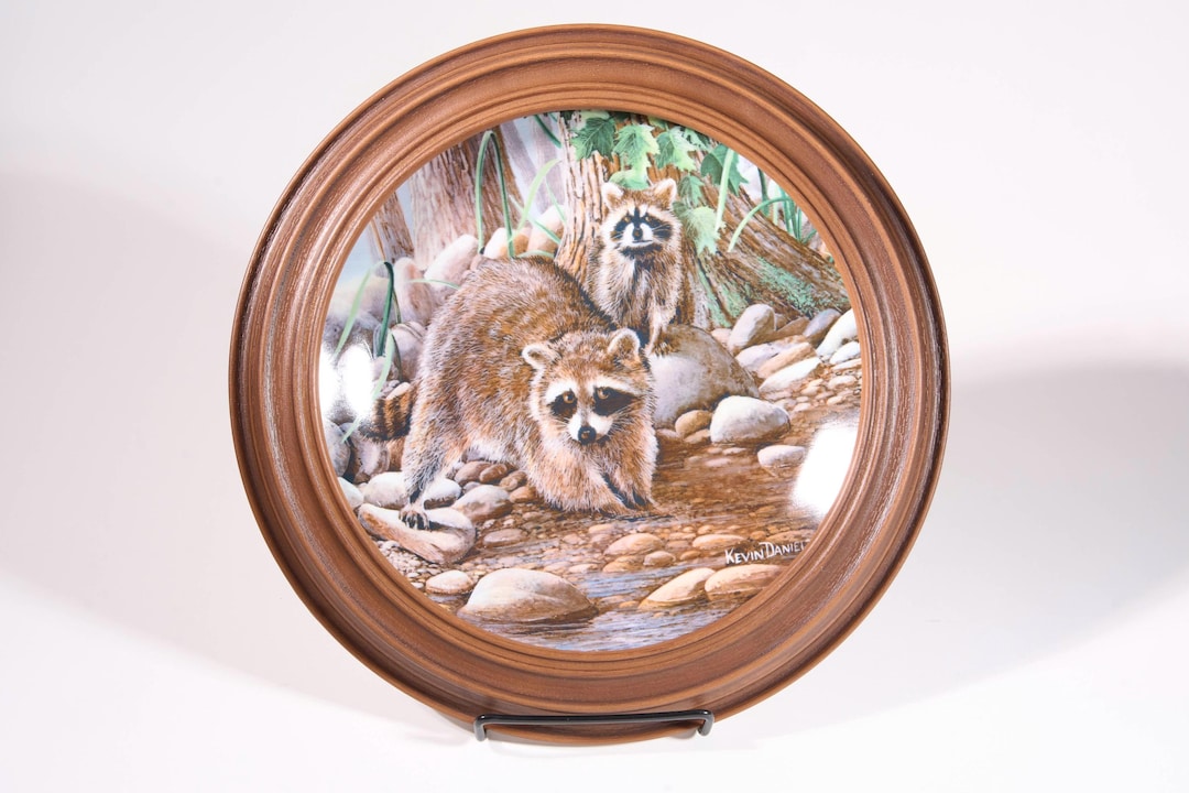 Vintage Kevin Daniels "the Raccoon" Plate 1987 - Etsy