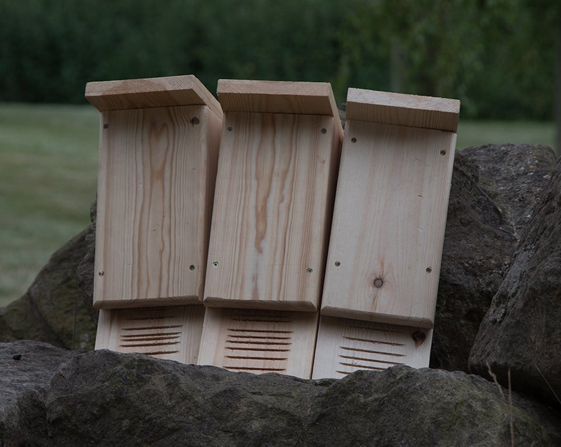 Personalised Bat Roosting Box | Etsy