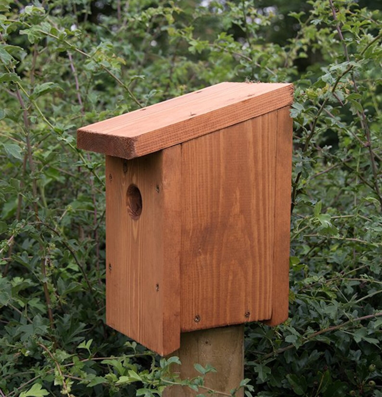 Personalised Multi Species Nest Box - Etsy