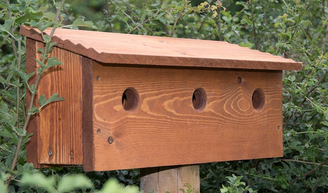 Personalised Sparrow Nest Box - Etsy