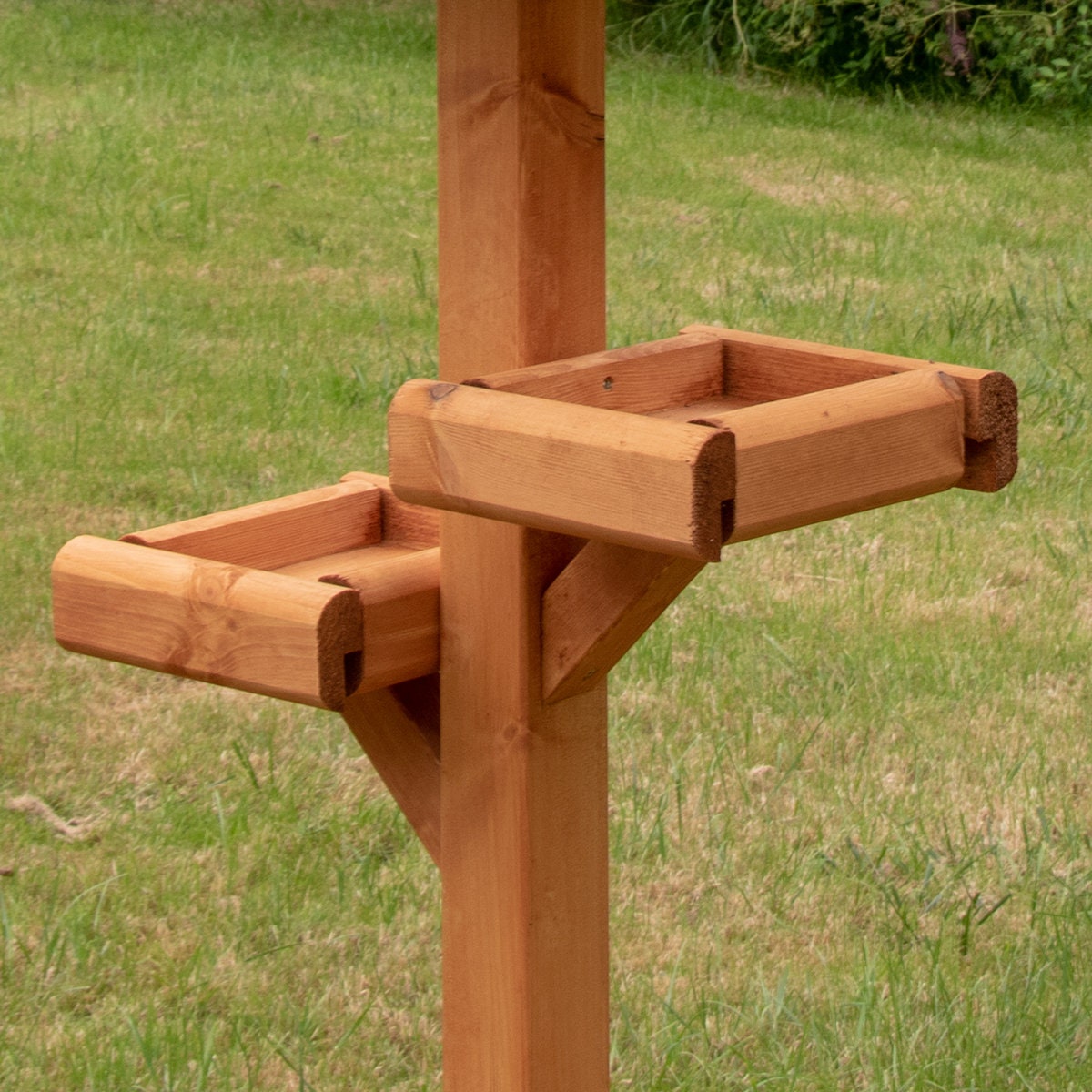 Personalised Premier Full Cage Deluxe Wooden Roof Bird Table | Etsy