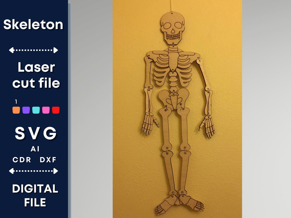 Build Your Own Skeleton Laser Cut Digital File Cute ... Build Your Own Skeleton Laser Cut Digital File Cute ...