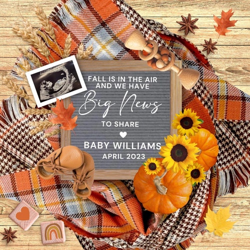 Fall Social Media Pregnancy Announcement Digital Fall is in - Etsy