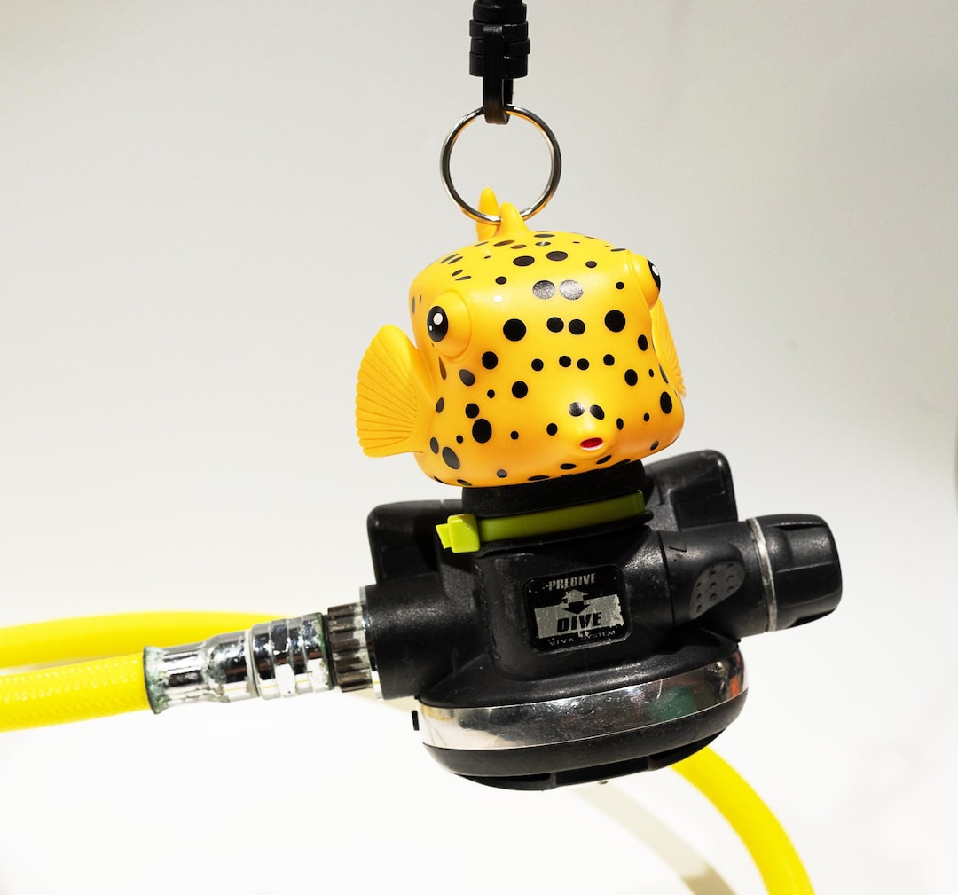 Boxfish Octopus Holder - Etsy