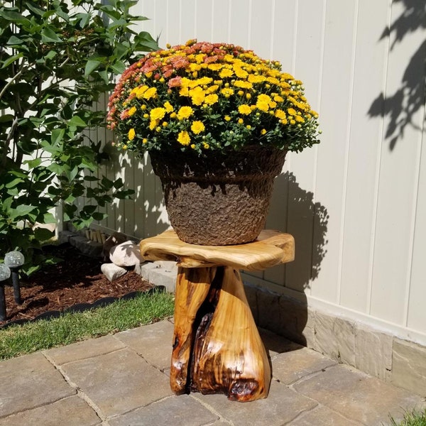 Tree Stump Plant Stand - Etsy