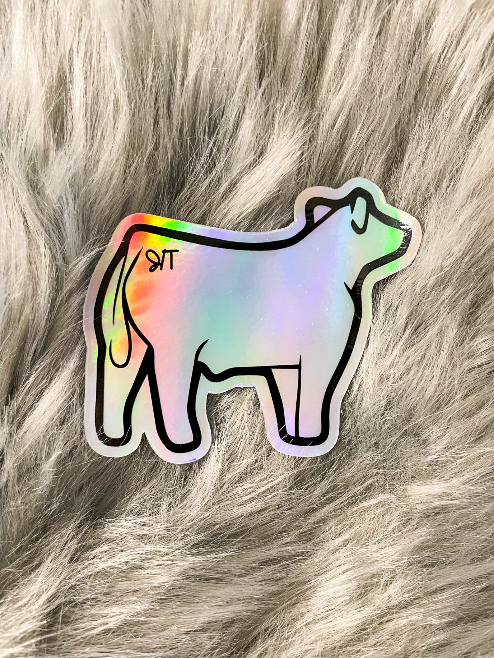 Holographic Show Steer Sticker | Show Cattle Sticker | Cattle Sticker ...