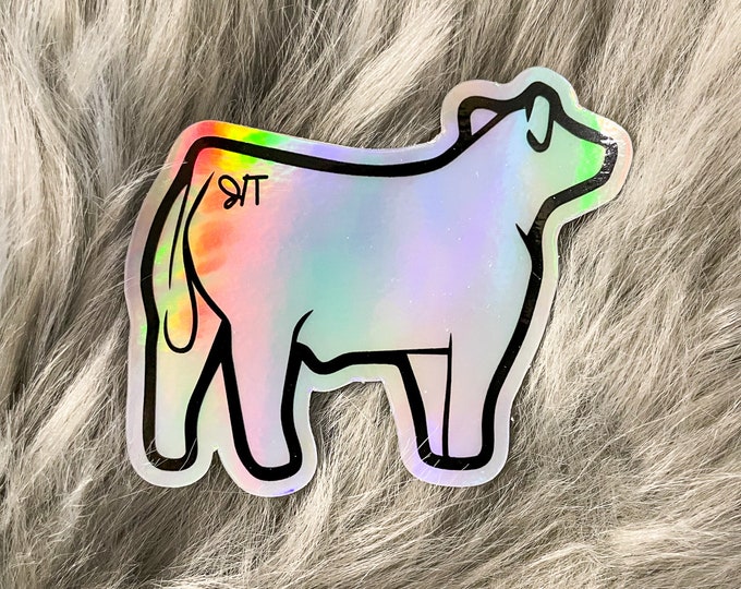 Holographic Show Steer Sticker | Show Cattle Sticker | Cattle Sticker ...