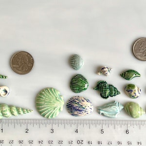 Ceramic Seashell and Sea Creature Tiles, 12pcs, Variety Blues and ...