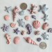 Ceramic Seashell and Sea Creature Tiles, 12pcs, Variety Pinks and ...