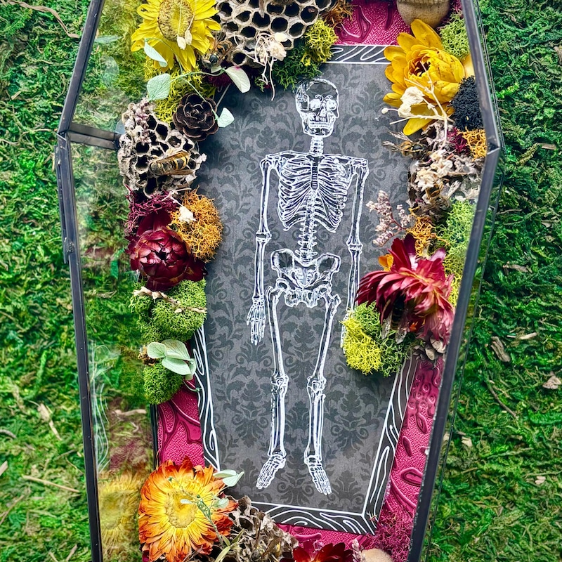 Glass Coffin - Etsy