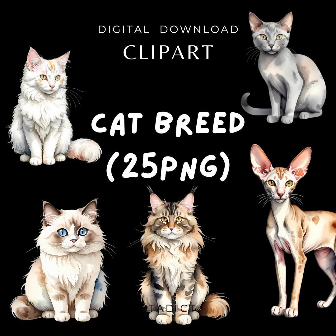 25PNG Cute Cat Breed Clipart | Digital Download | PNG Digital Sticker ...