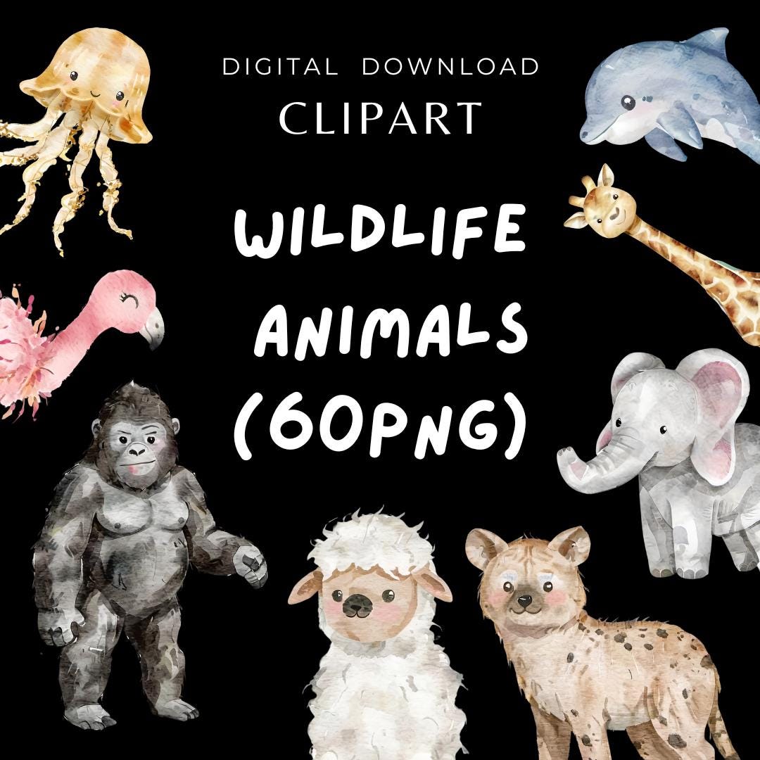 60PNG Cute Watercolor Wildlife Animals Clipart | Digital Download | PNG ...