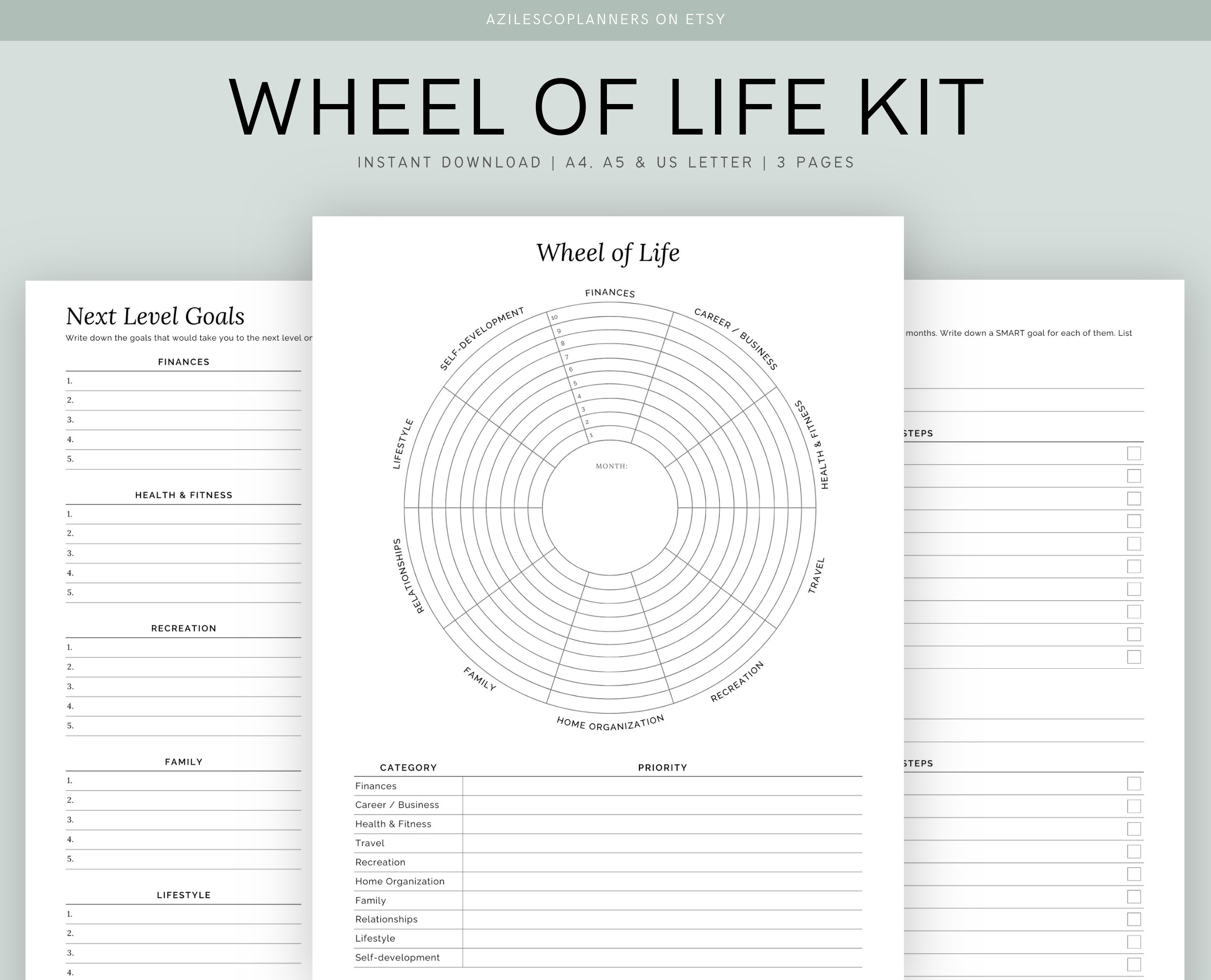 Reproduceable Wheel Of Life Template