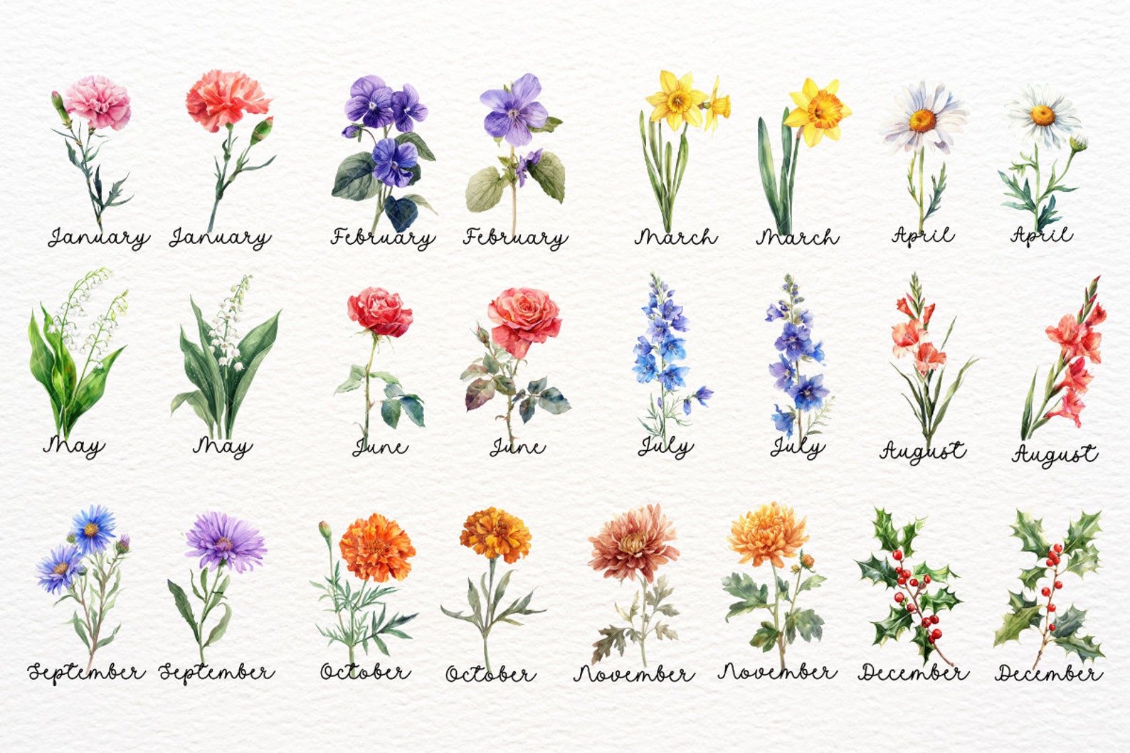 48 Birth Month Flowers Clipart, PNG, Set Watercolor, Watercolor Floral ...