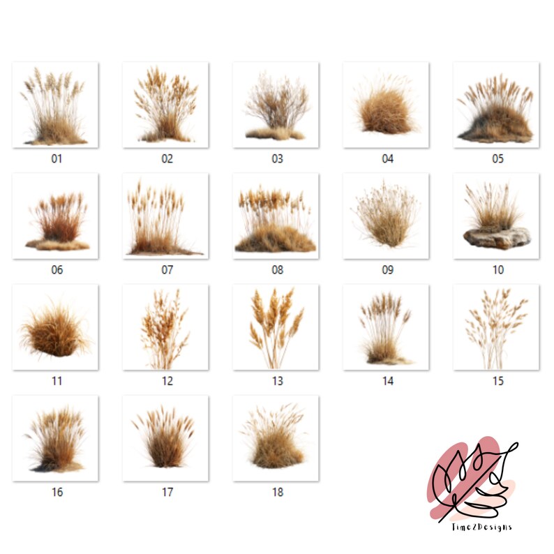 Dry Grass Overlays Transparent Background Real Grass Overlays Photoshop ...