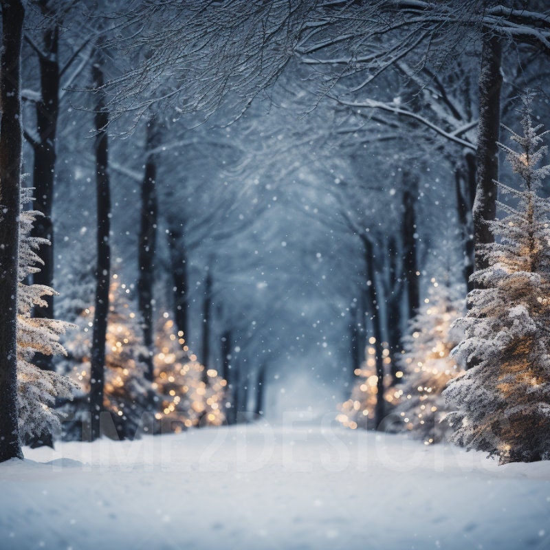 Winter Digital Backdrop - Etsy