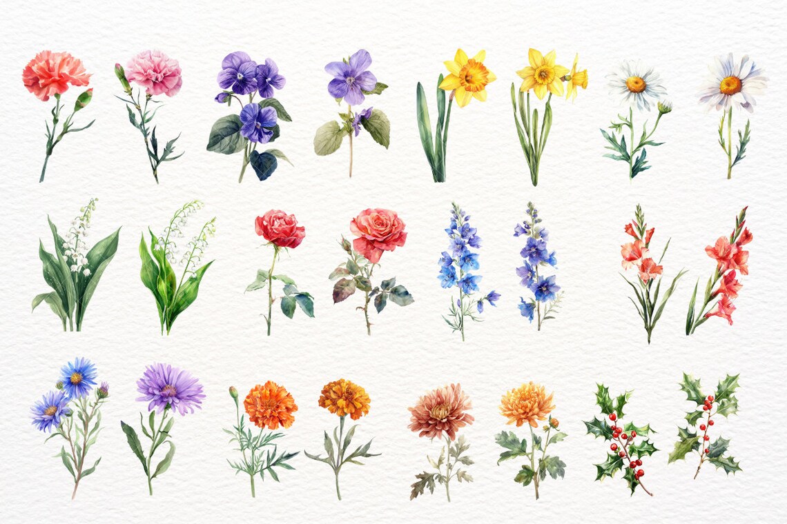 48 Birth Month Flowers Clipart, PNG, Set Watercolor, Watercolor Floral ...