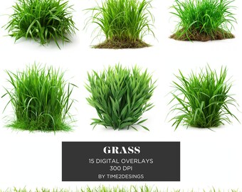 Dry Grass Overlays Transparent Background Real Grass Overlays Photoshop ...