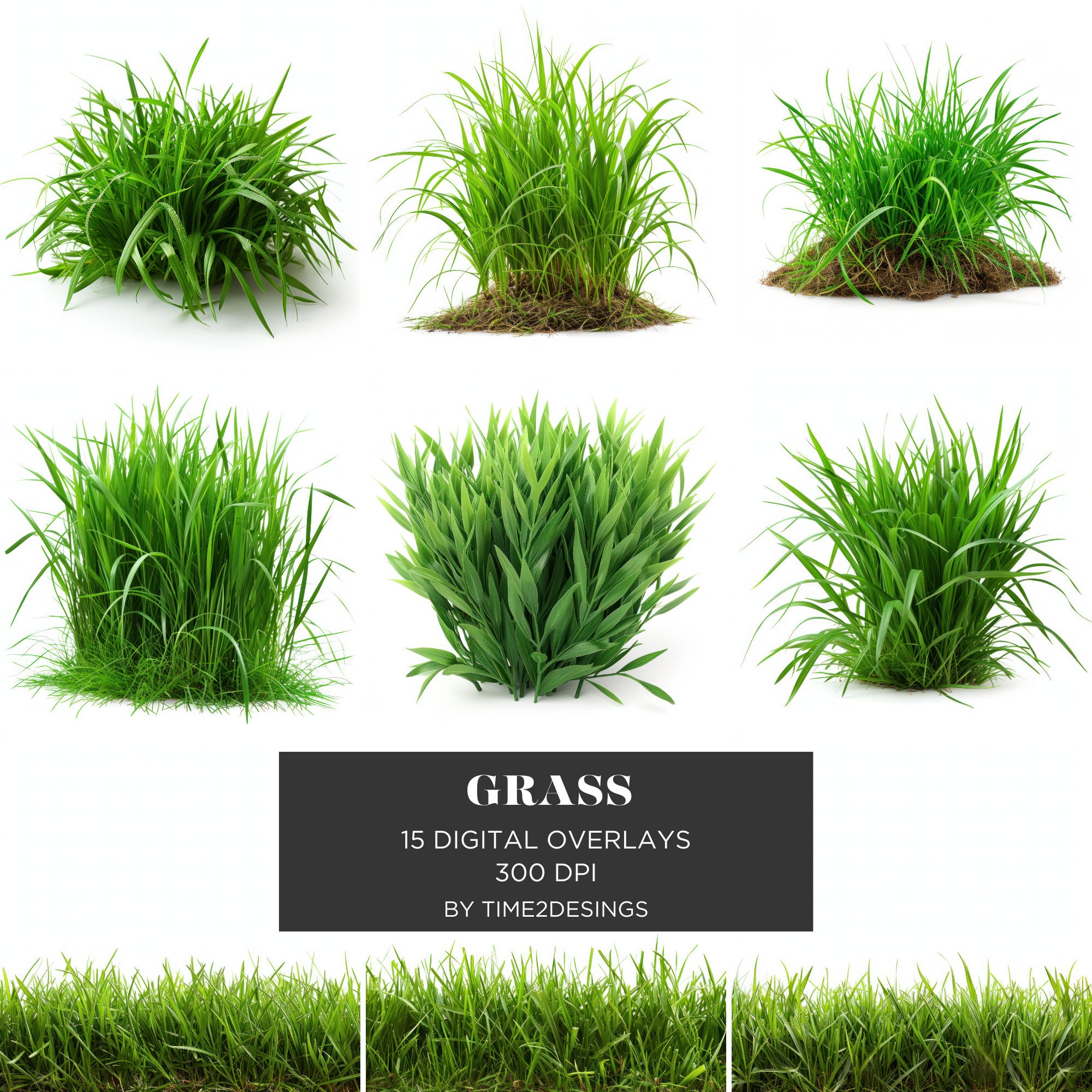 Grass Overlays Transparent Background Real Grass Overlays Photoshop ...